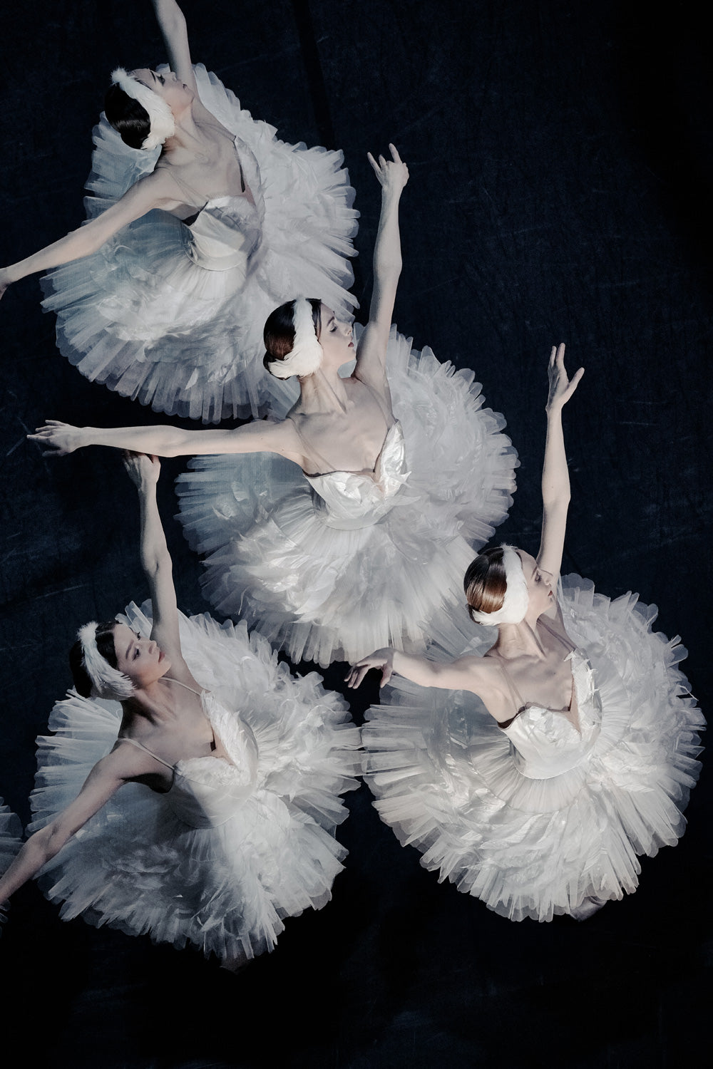 White Swan Ballerina Rescheduled: Swan Lake Birmingham Royal Ballet